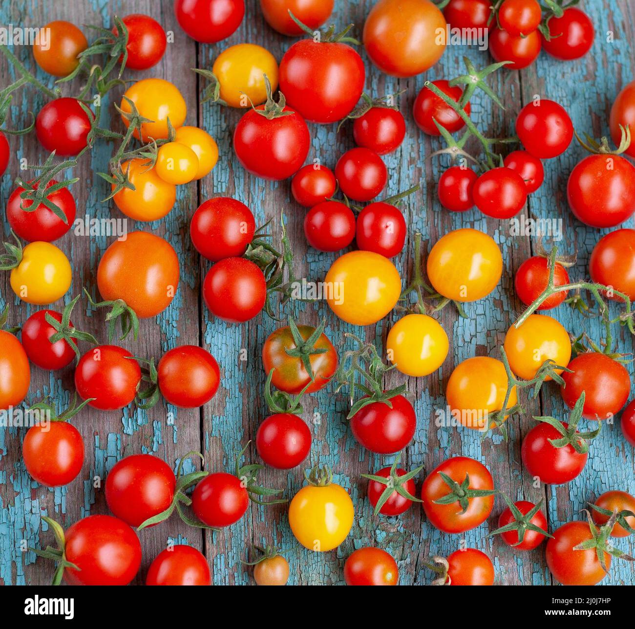 Multicolored tomatoes top view. Pattern of yellow, red and orange ...