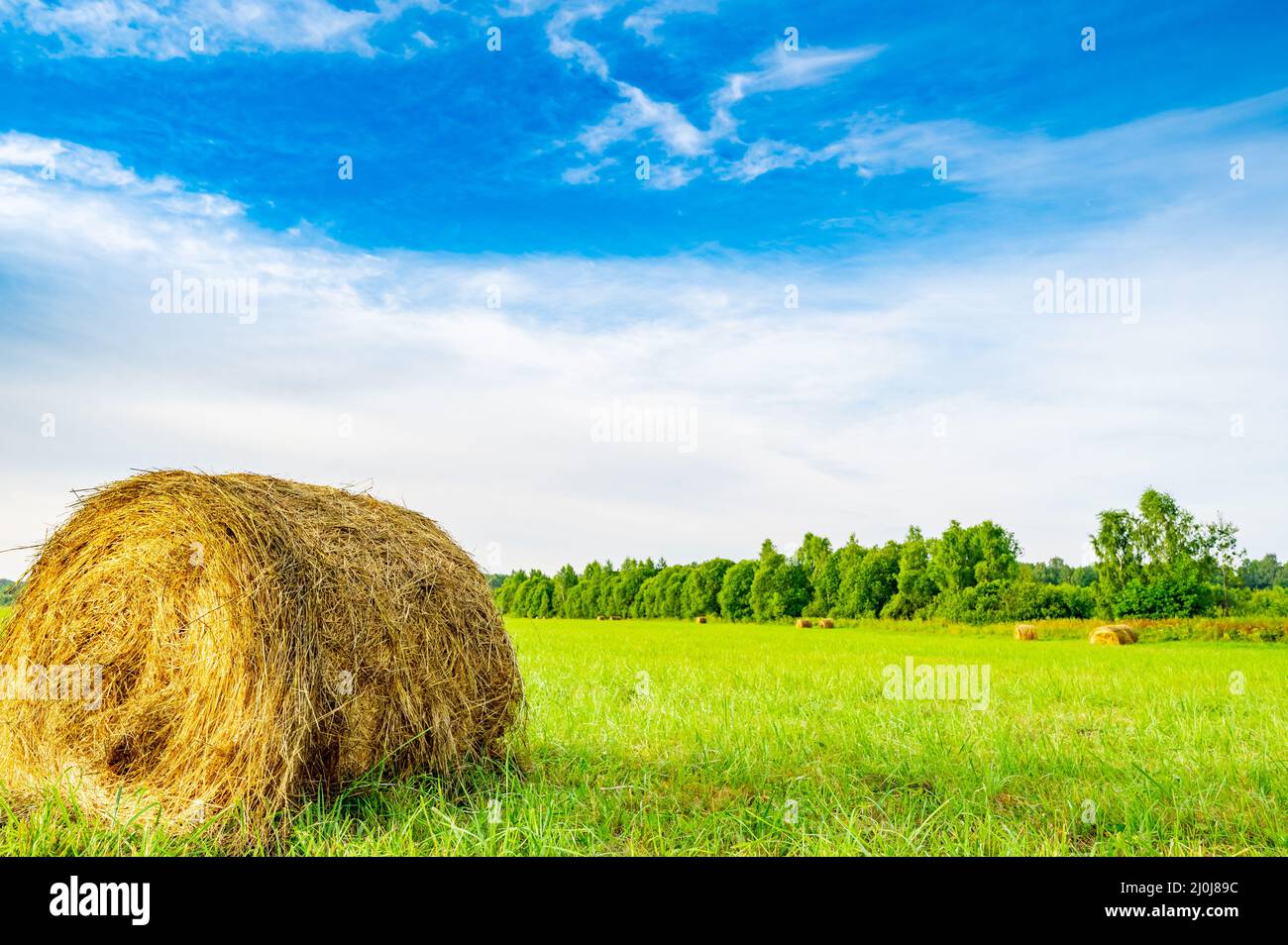 Mown hay hi-res stock photography and images - Alamy