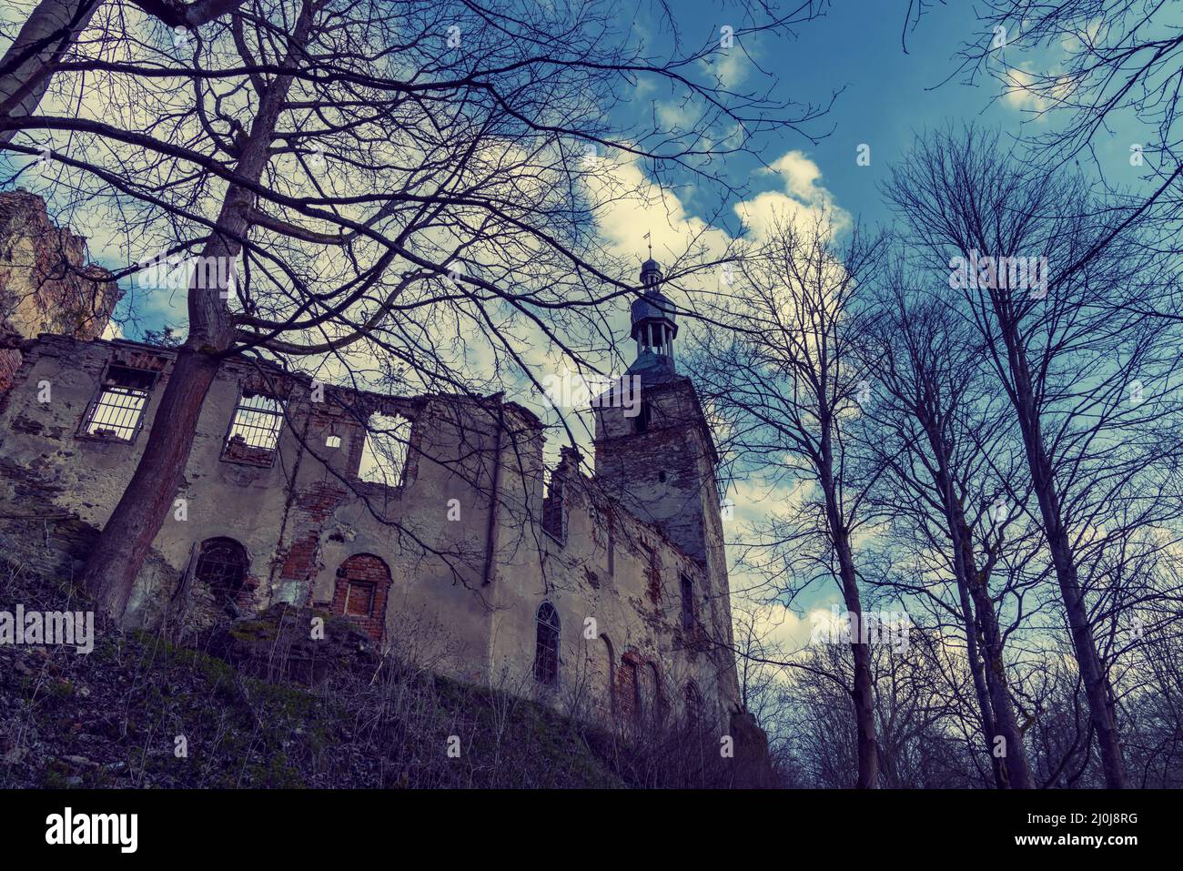 Hartenberg ruins, Western Bohemia, Czech Republic Stock Photo - Alamy