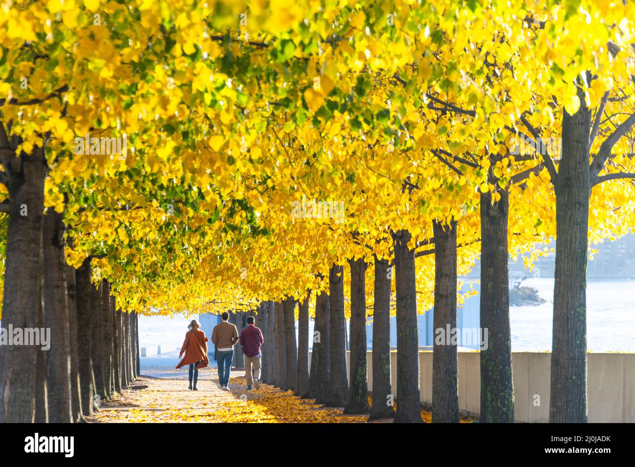 Franklin d roosevelt four freedoms state park hi-res stock photography ...