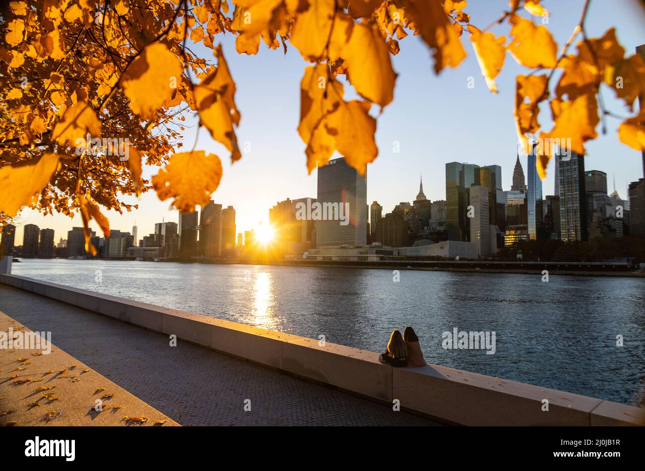 Midtown Manhattan skyscraper stands behind autumnal leaf color trees ...