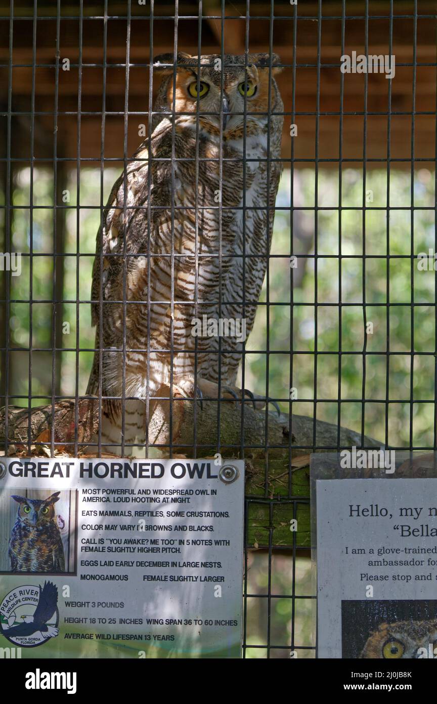Wildlife center hi-res stock photography and images - Alamy
