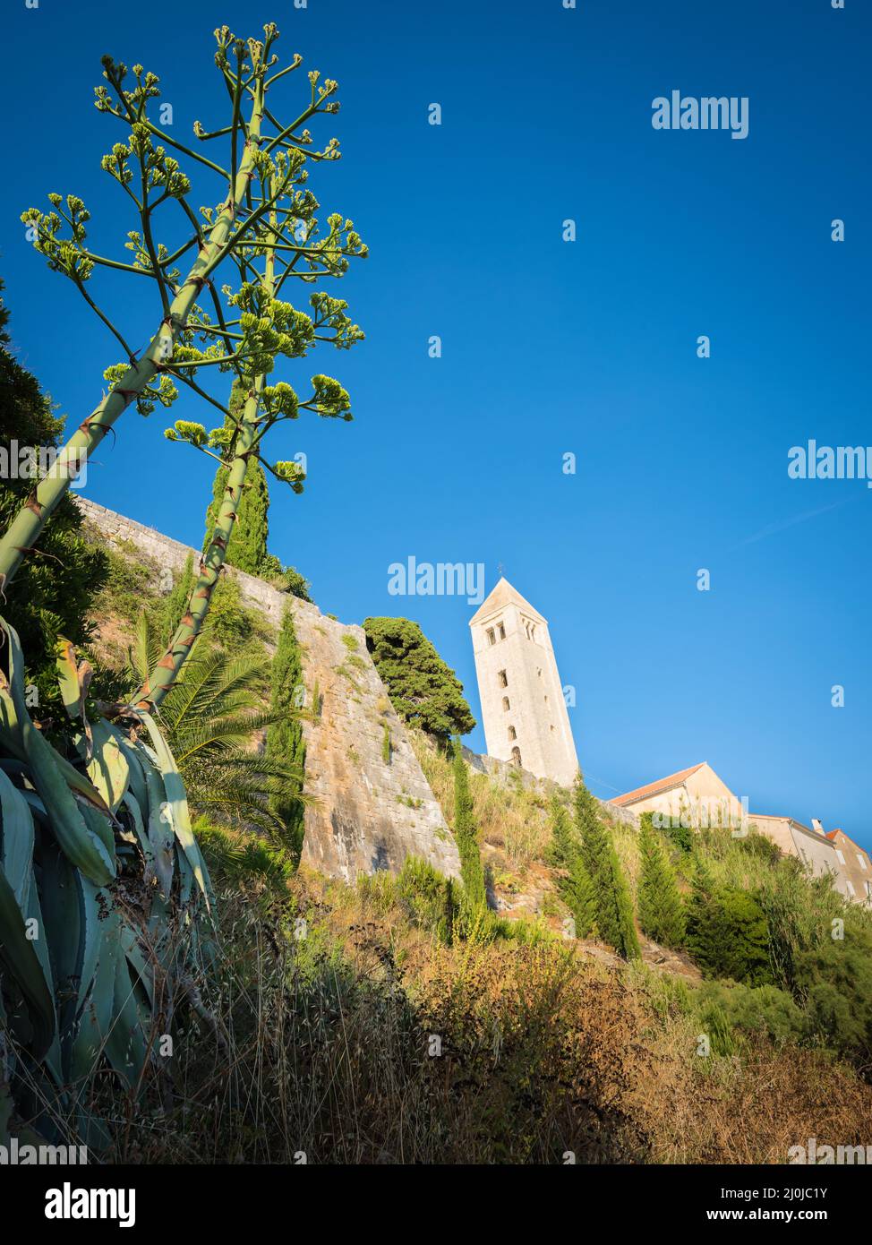 Rab island swim hi-res stock photography and images - Alamy