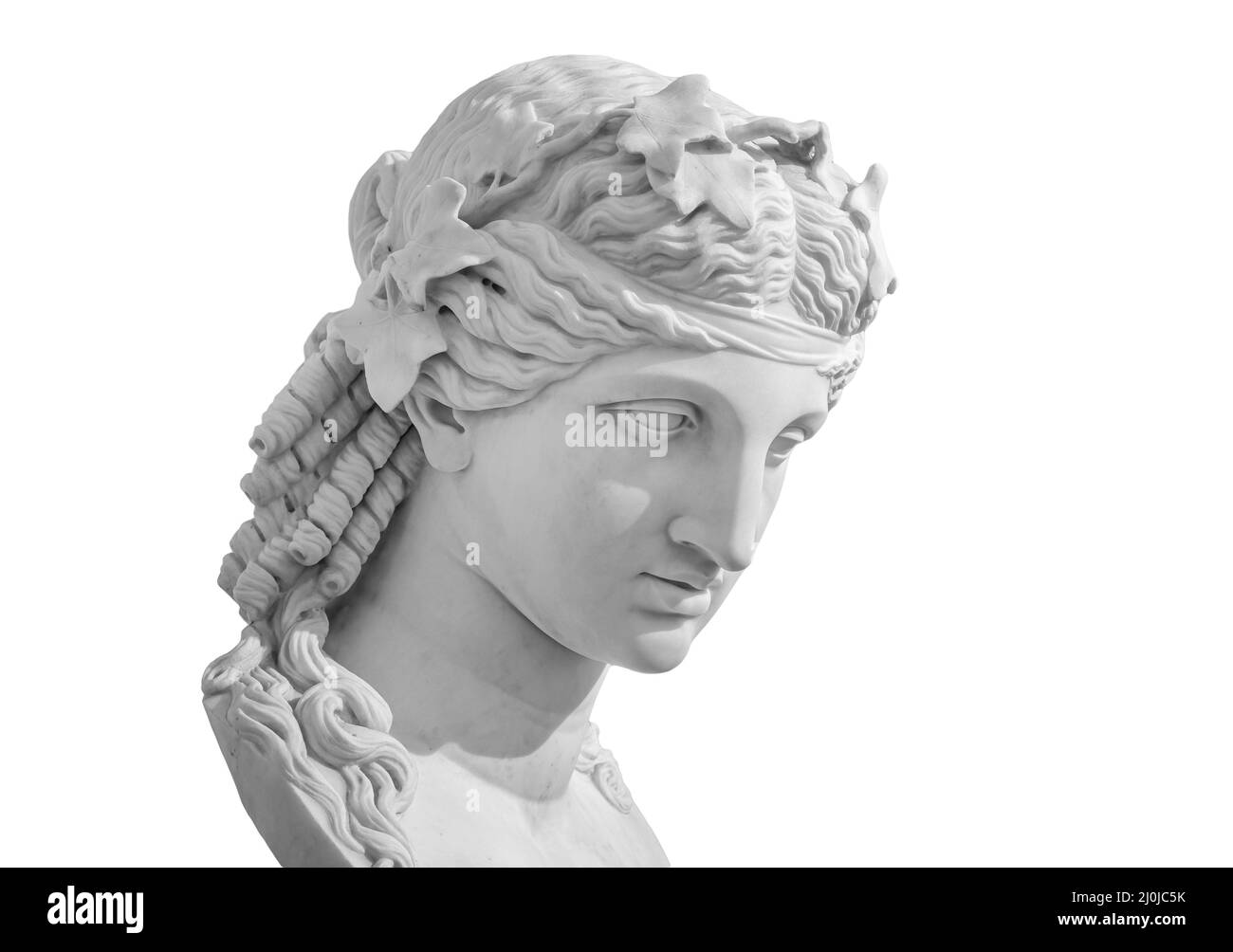 Gypsum copy of ancient statue Venus head isolated on white background ...