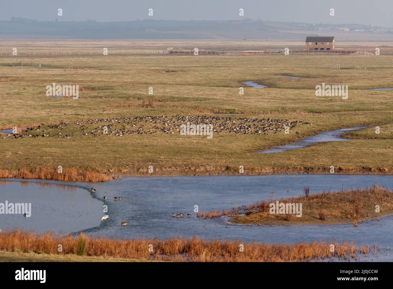 Marsh fences hi-res stock photography and images - Alamy