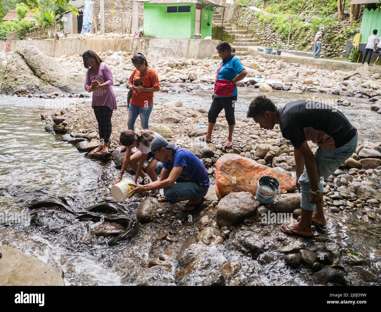 Ambon Island, Indonesia - Feb, 2018: Feeding the eels in the sacred eel ...