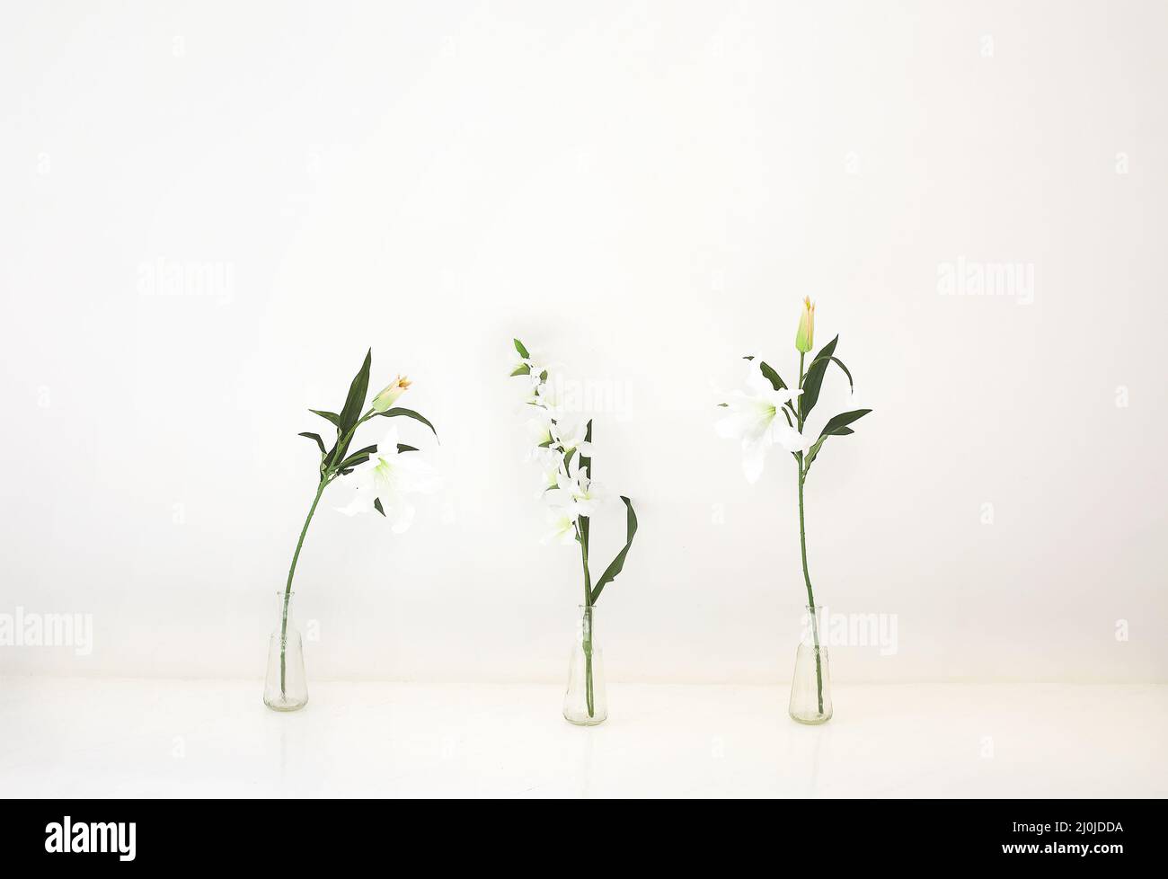 Beautiful natural lilies placed in glass vases against white wall Stock ...