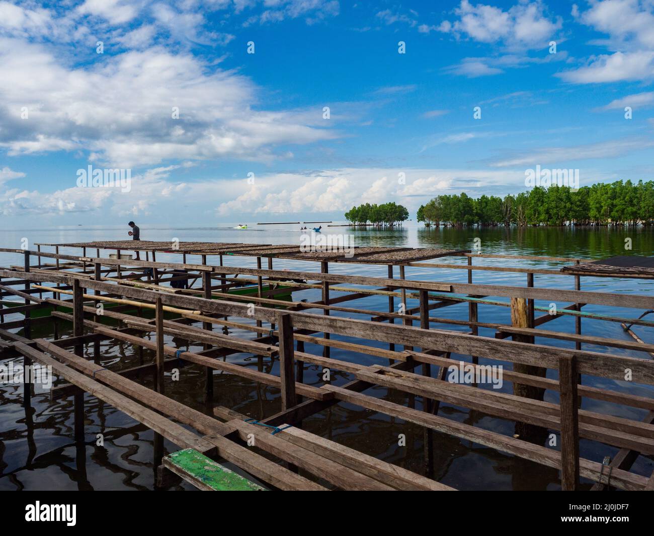 Special structures and nets prepared for drying fish in Kaimana in the ...