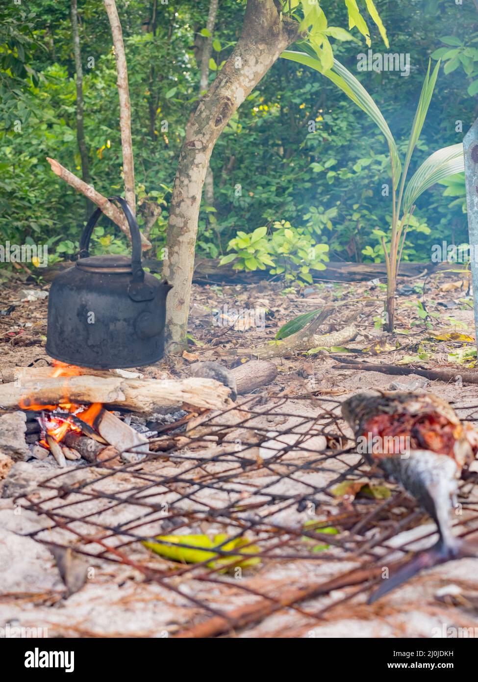 Cooking meal on a campfire on a small desert island, Venu Island, Pulau ...