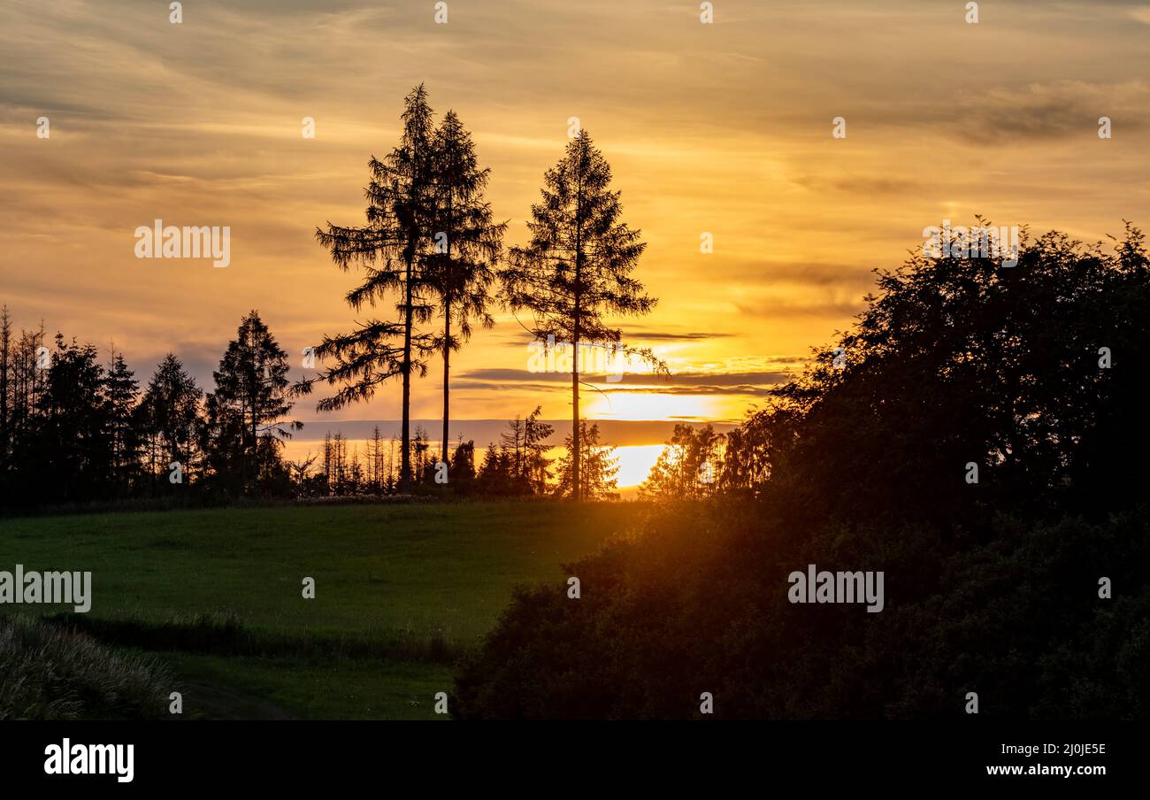 Summer sunset in countryside Stock Photo - Alamy