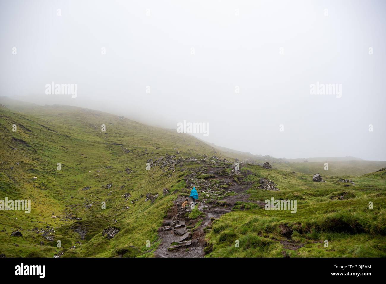 Foggy day on a green hiking cliff in rural Scotland Stock Photo - Alamy