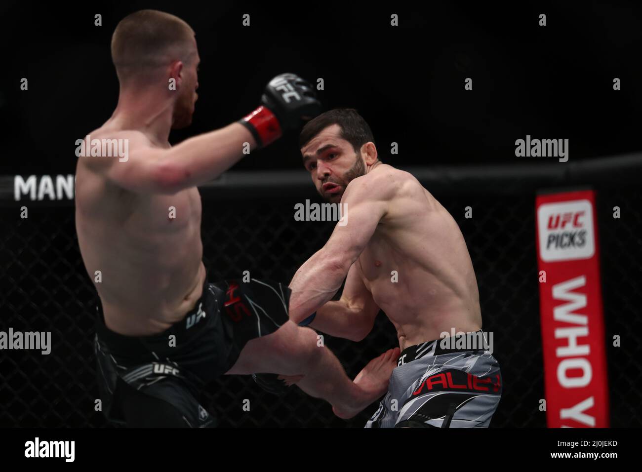 Jack shore hi-res stock photography and images - Alamy