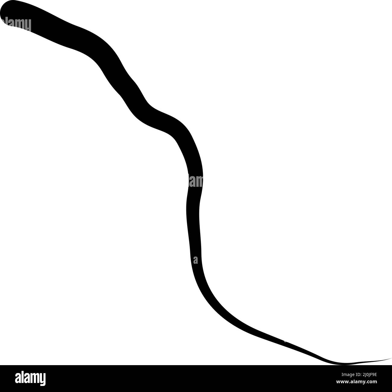 Random winding, tortuous line. Squiggly, waving, wavy curved line ...