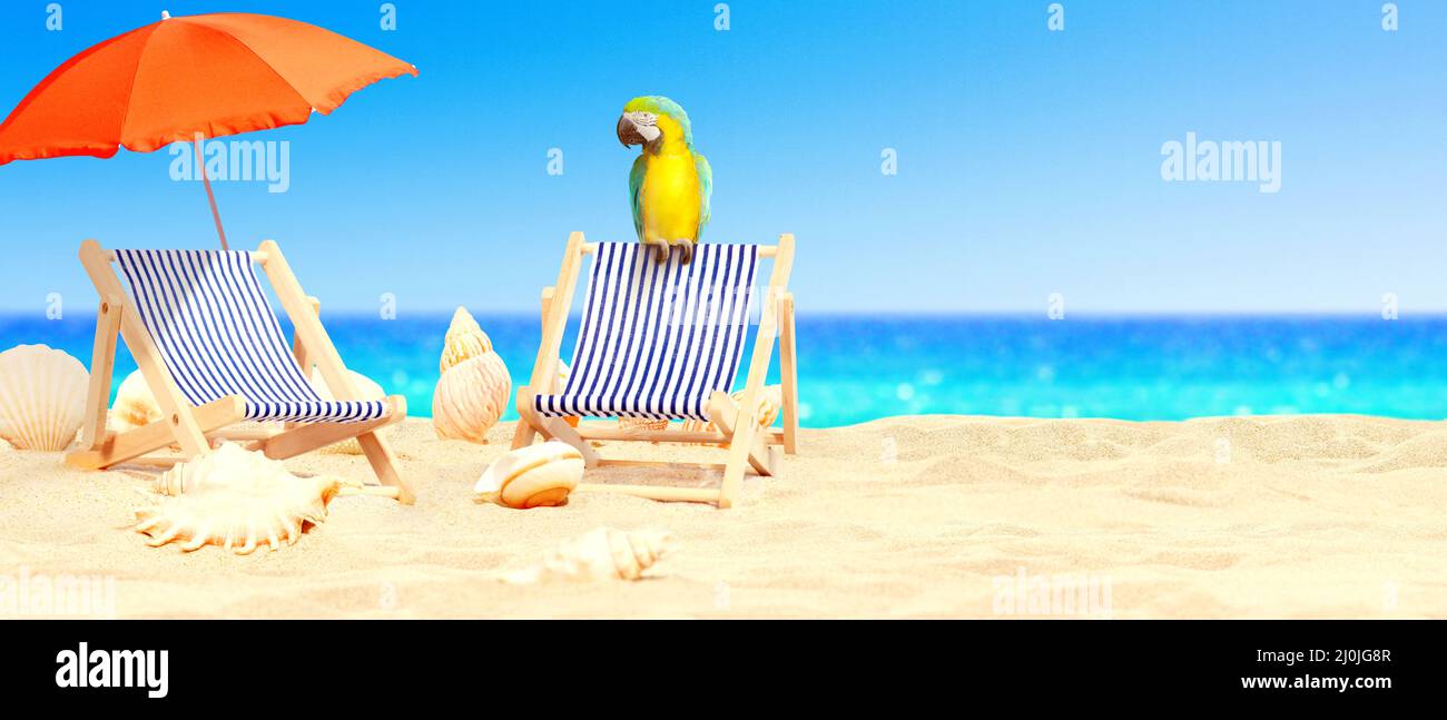 Parrot on tropical beach in the sun on deck chairs under umbrella Stock ...