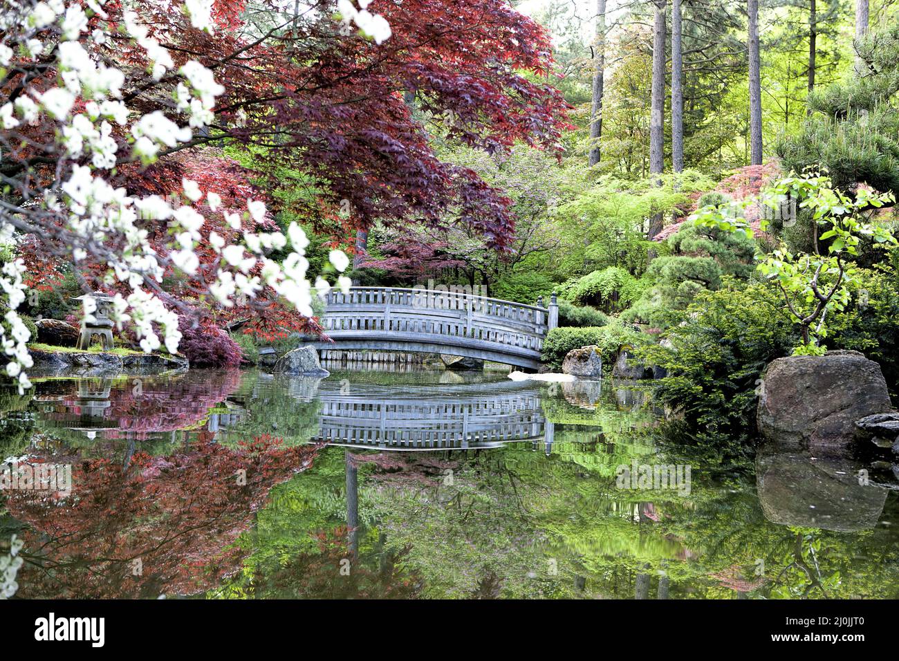 Japanese public parks hi-res stock photography and images - Alamy