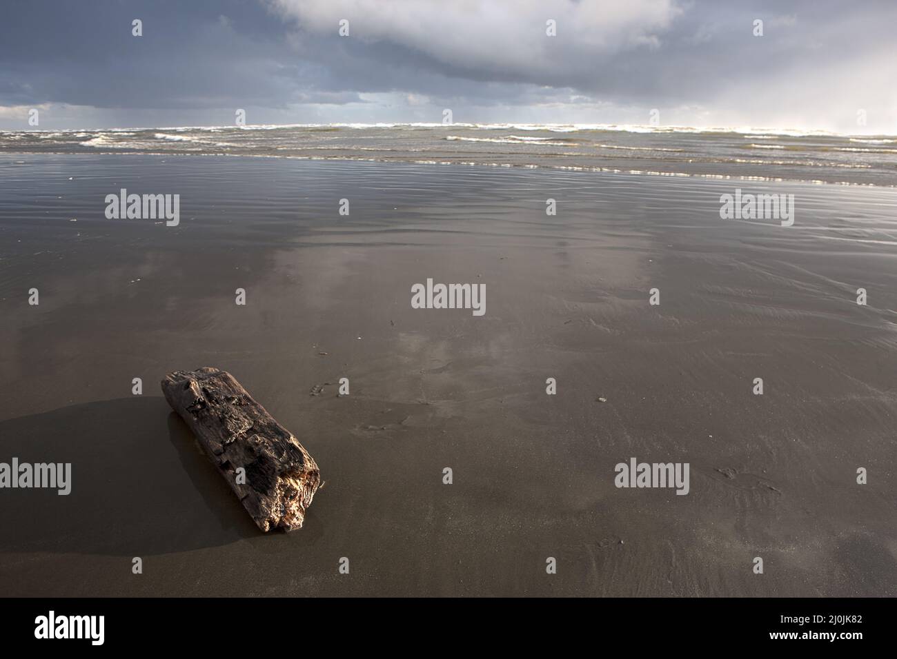 Ocean with log hi-res stock photography and images - Alamy