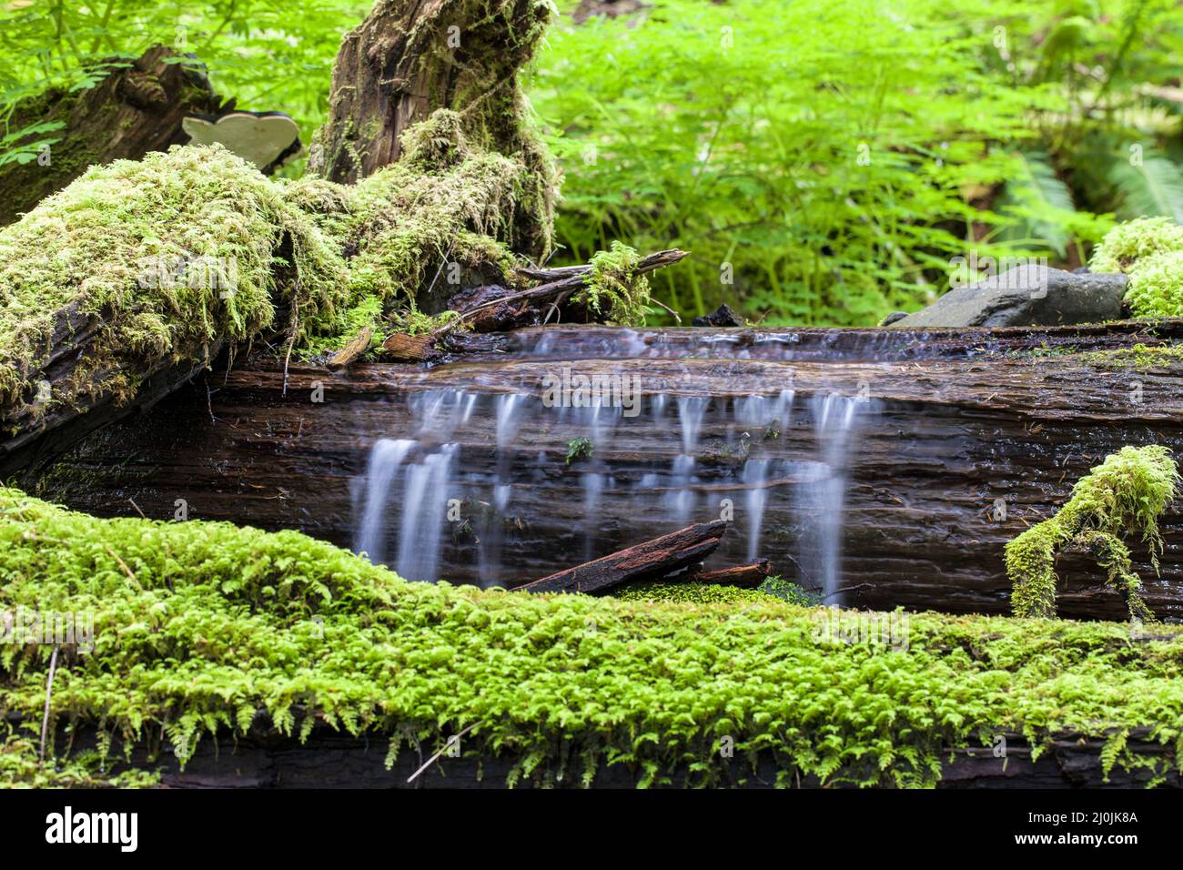 Flows northwest hi-res stock photography and images - Alamy