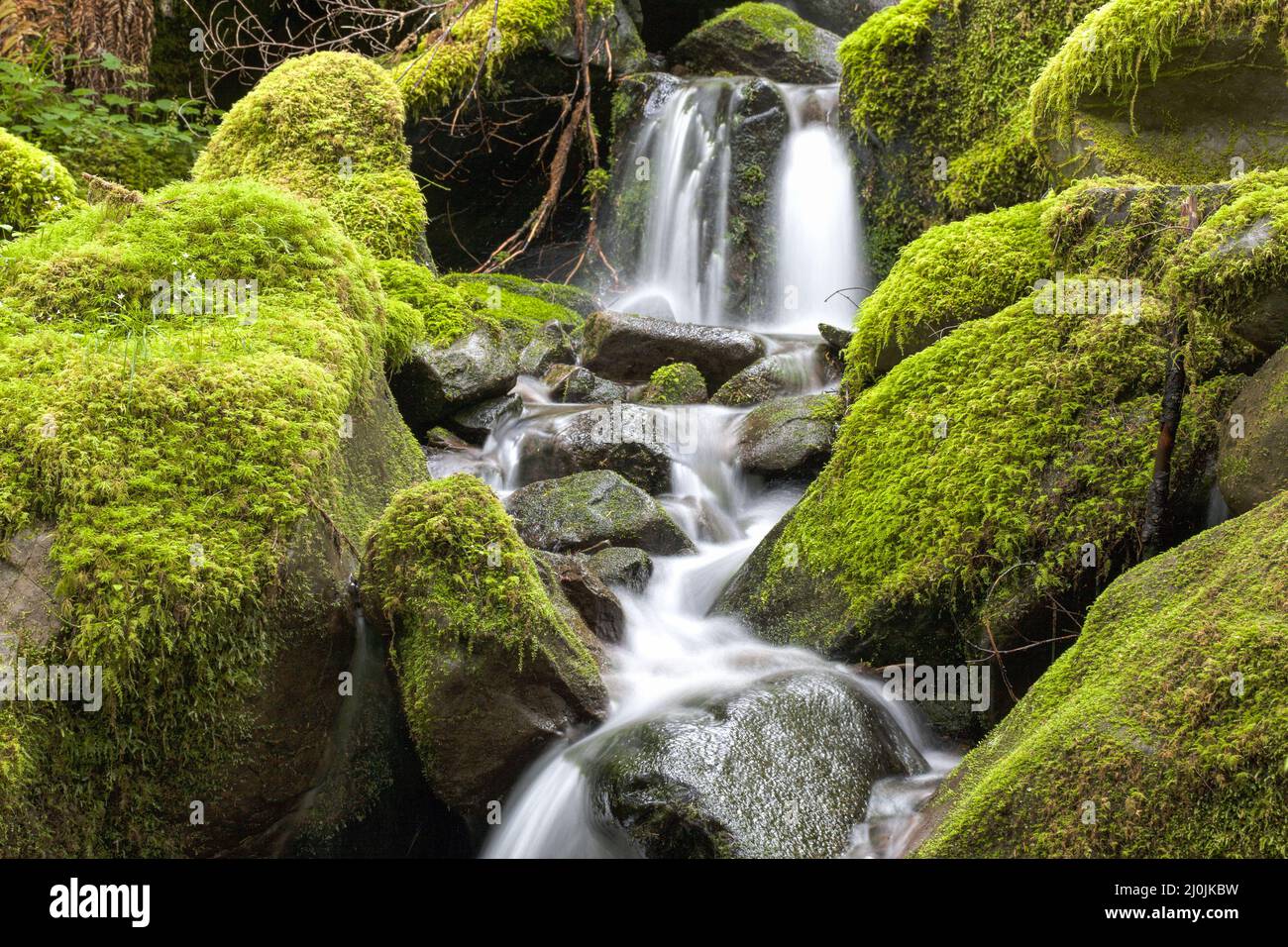 Mossy Rocks