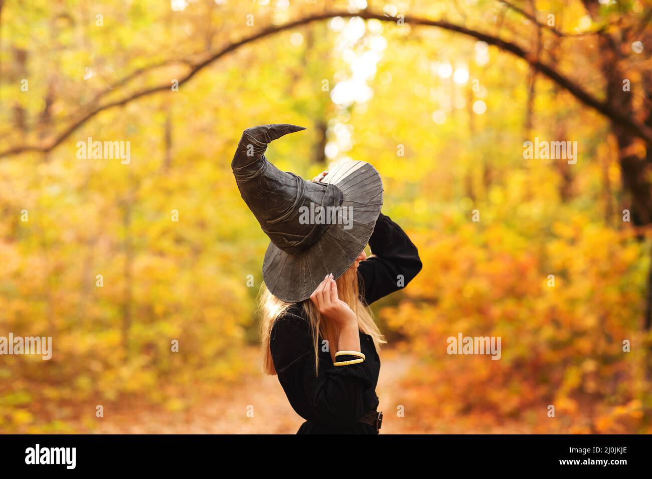 Witch hat back view hi-res stock photography and images - Alamy