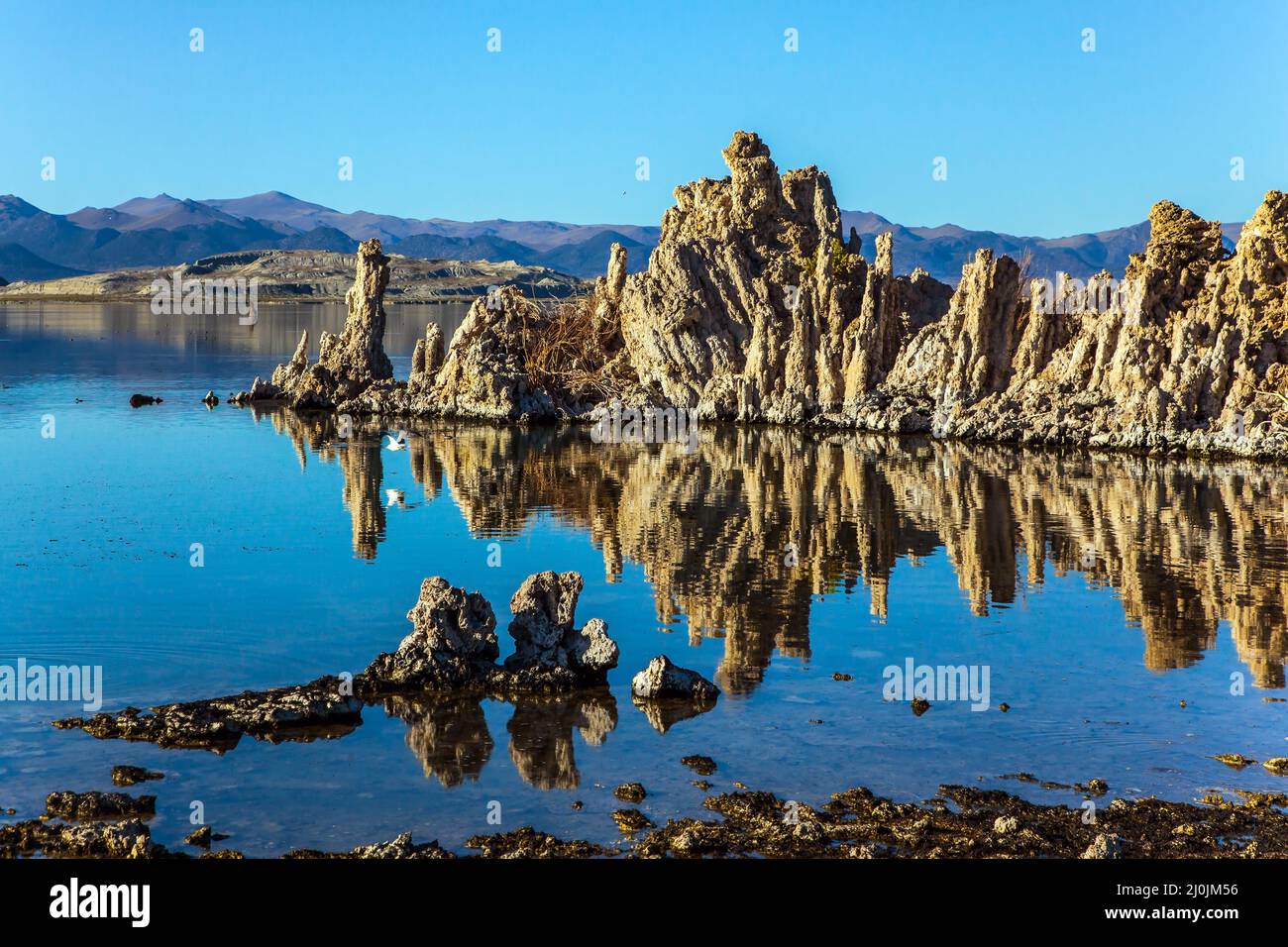 Twilight wonder hi-res stock photography and images - Alamy