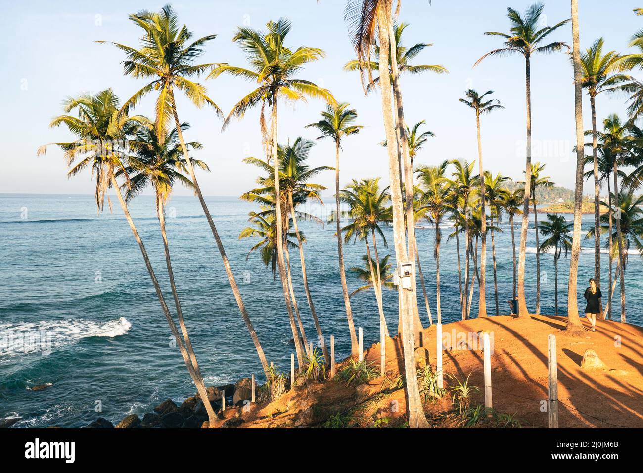 Coconut tree hill in Mirissa Beach. Sri Lanka Stock Photo - Alamy