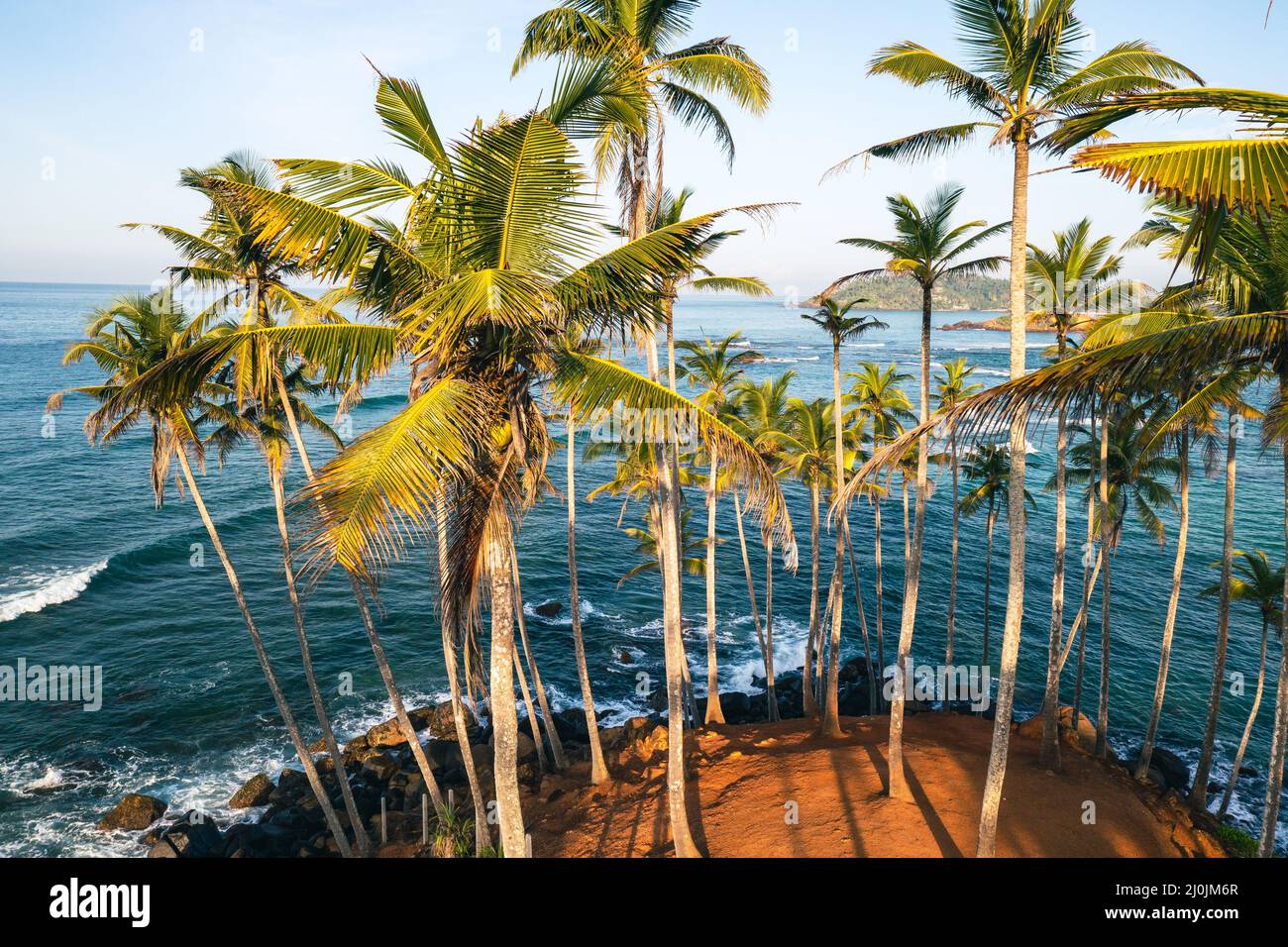 Coconut tree hill in Mirissa Beach. Sri Lanka Stock Photo - Alamy