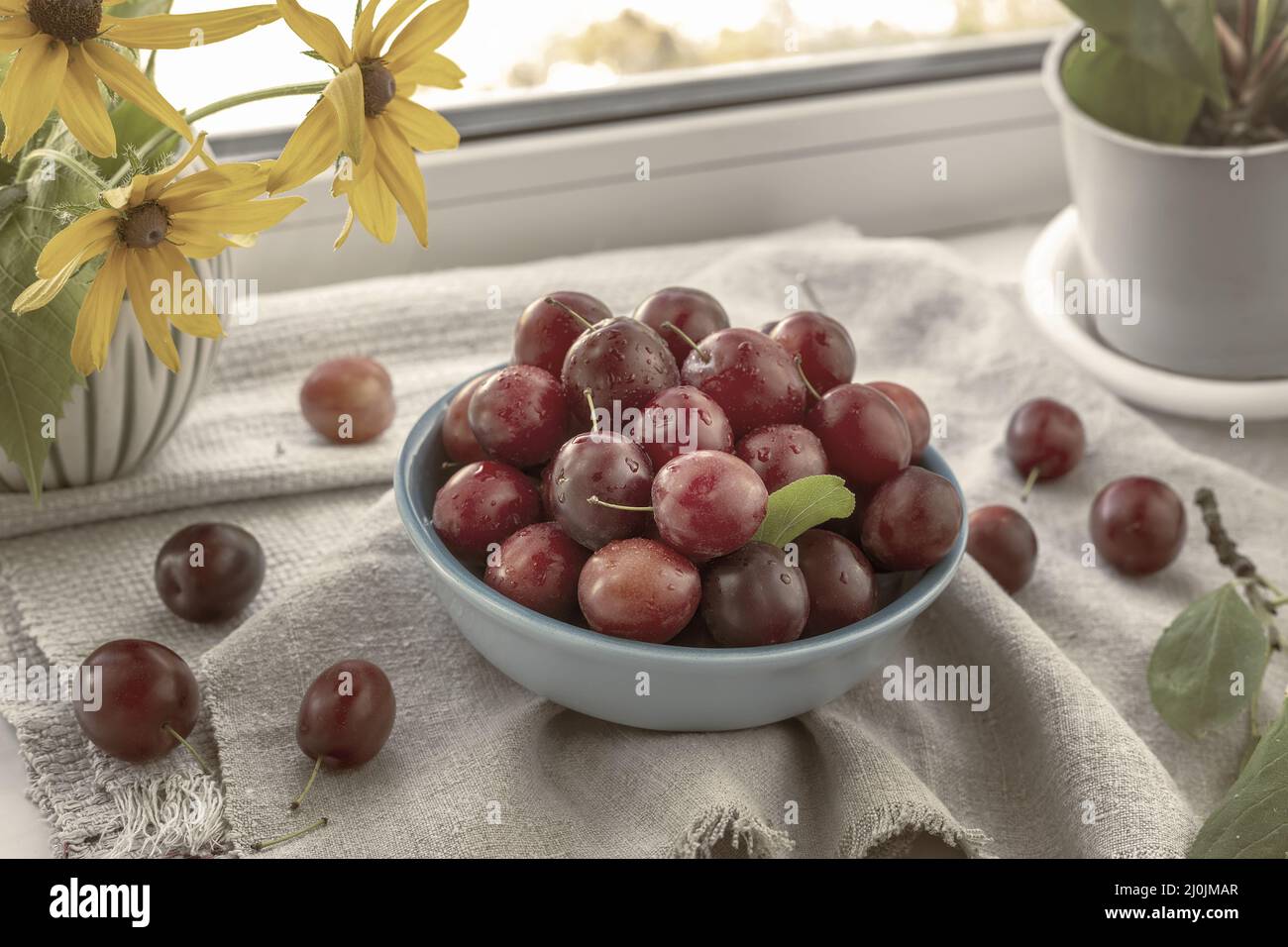 Red plums in plate hi-res stock photography and images - Alamy