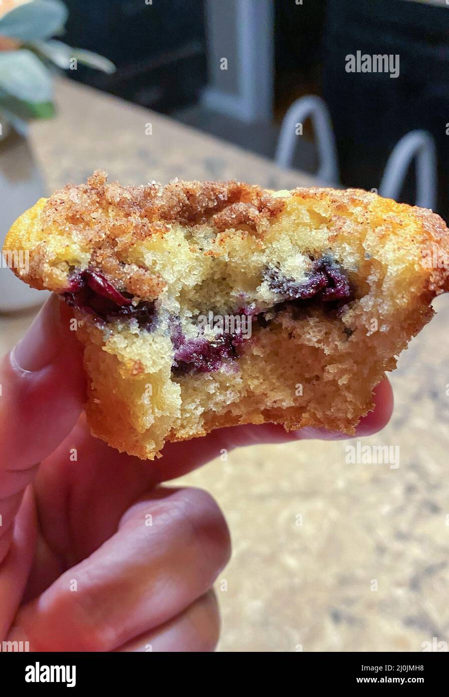 Hand holding blueberry muffin hi-res stock photography and images - Alamy