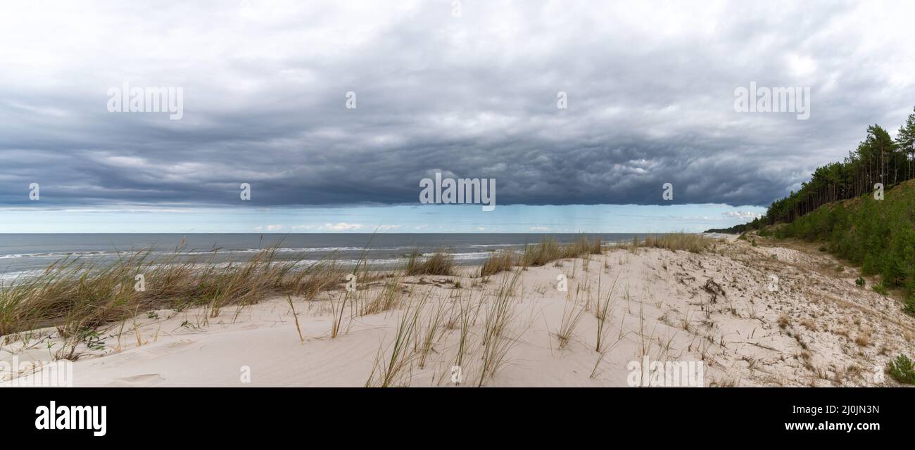 Endless pristine empty sand beaches with forest and sand dunes on the ...