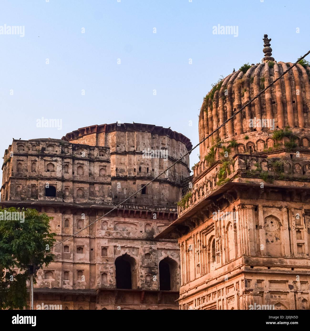 Morning View of Royal Cenotaphs (Chhatris) of Orchha, Madhya Pradesh ...