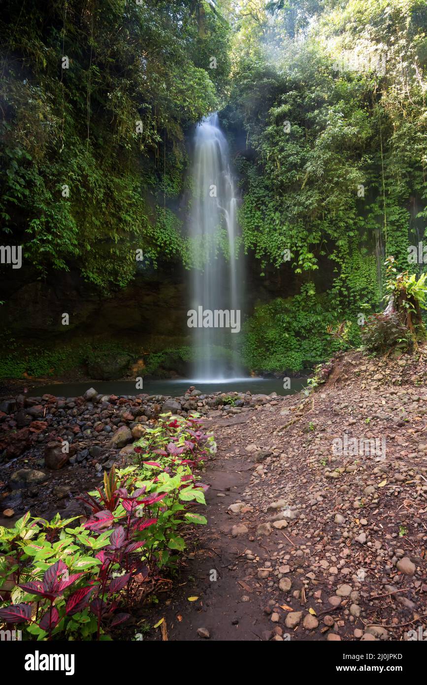 Beautiful waterfall at west java, indonesia Stock Photo - Alamy