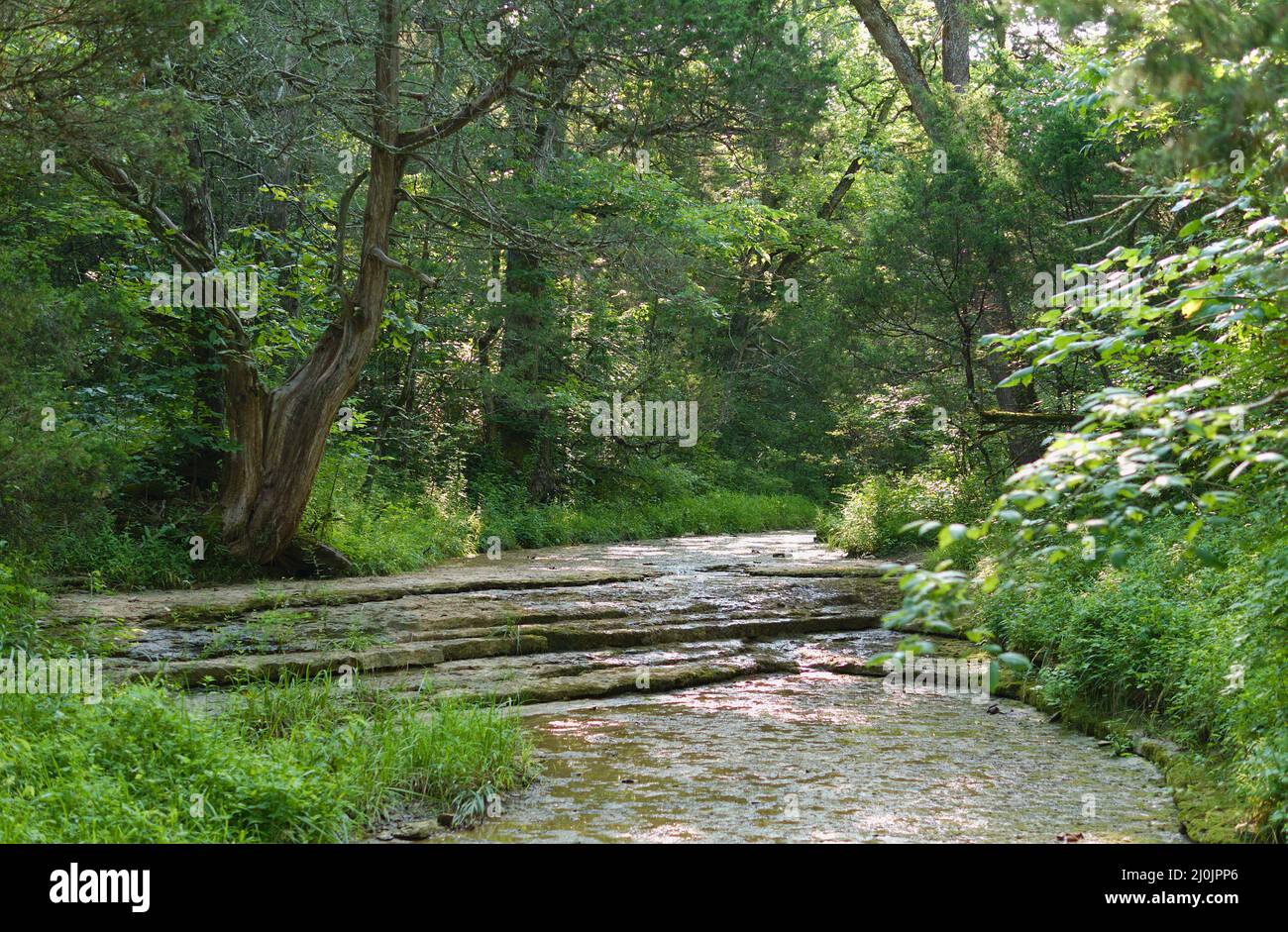 Limestone falls hi-res stock photography and images - Alamy
