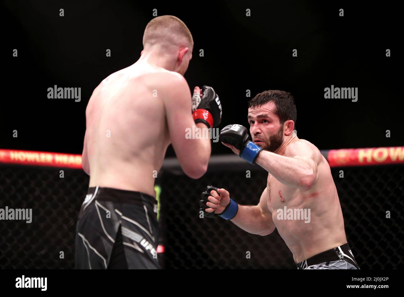 Jack Shore (left) and Timur Valiev in action in the Bantamweight at The ...