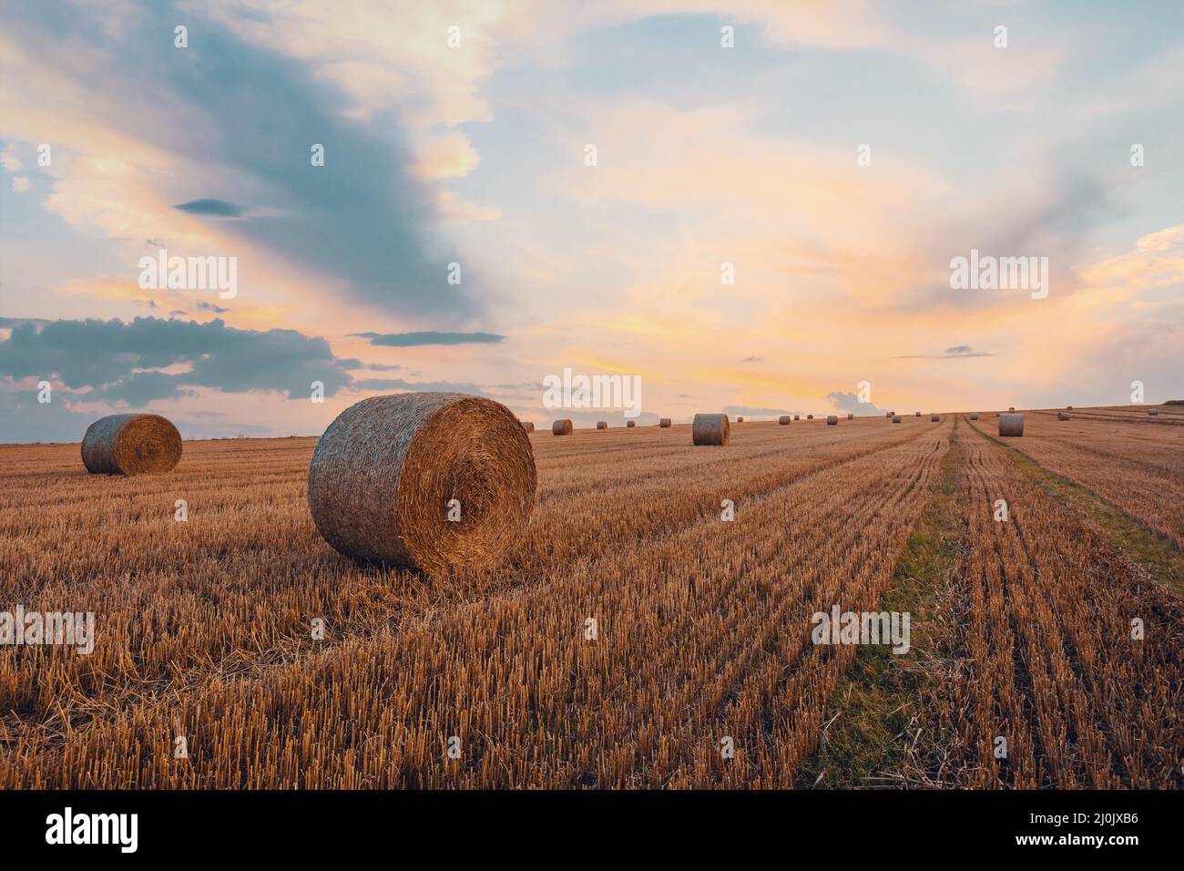 Bales in field at sunset hi-res stock photography and images - Alamy