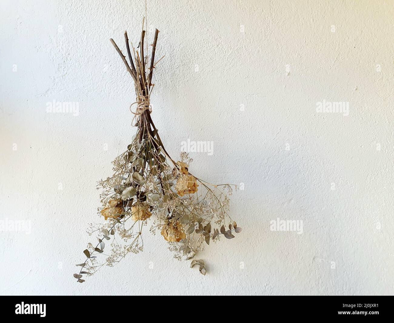 Dried orange rose bouquet hanging upside down with a white painted wall ...