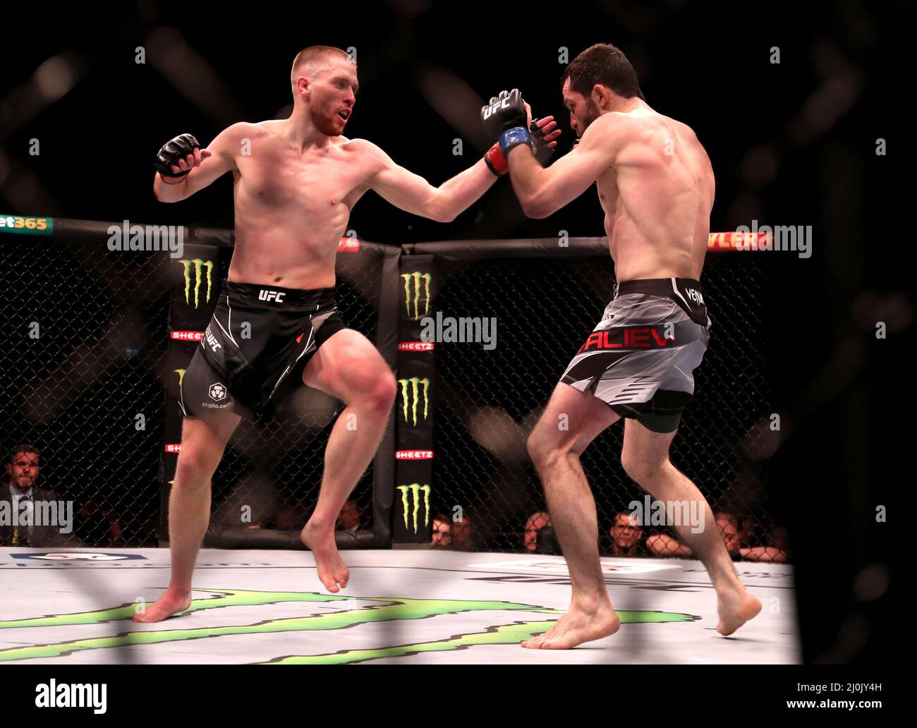 Jack Shore (left) and Timur Valiev in action during the Bantamweight ...