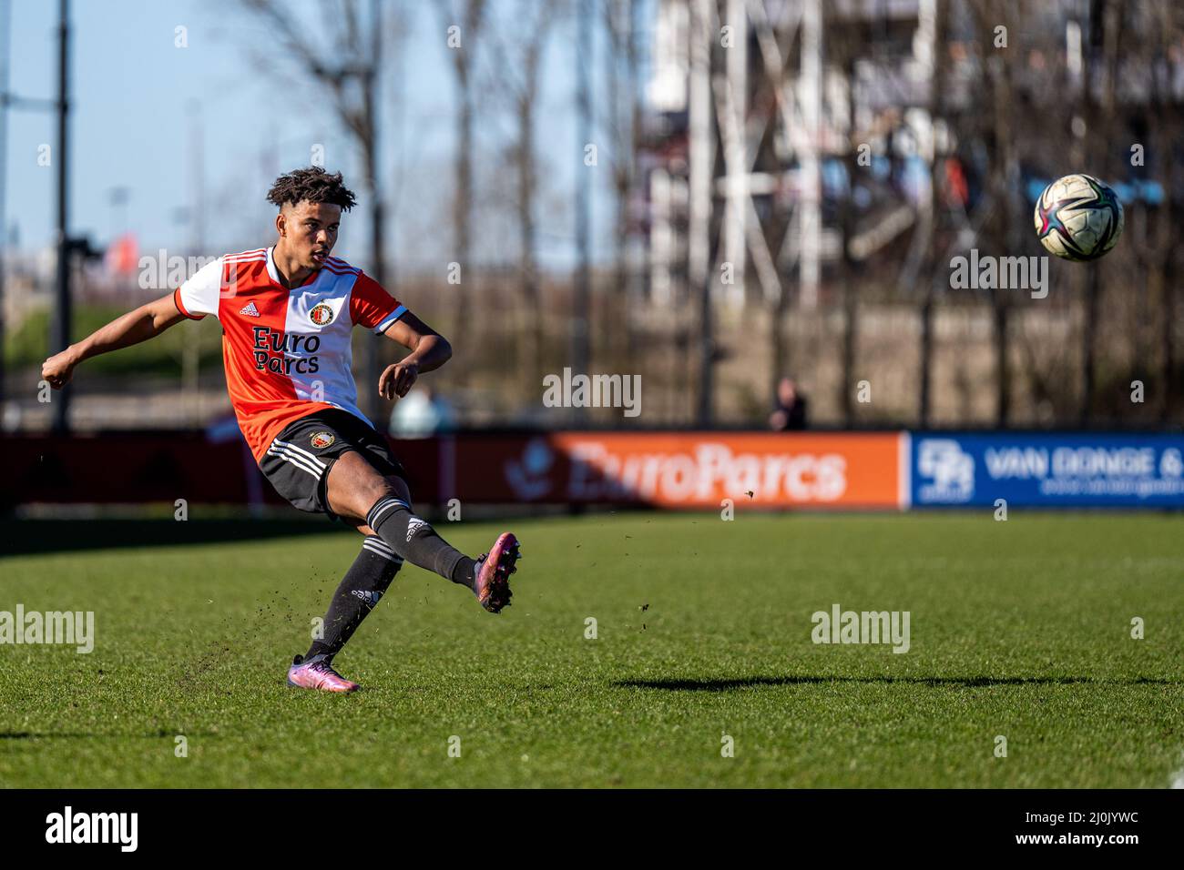 Rotterdam - Denzel Hall of Feyenoord during the match between Feyenoord ...