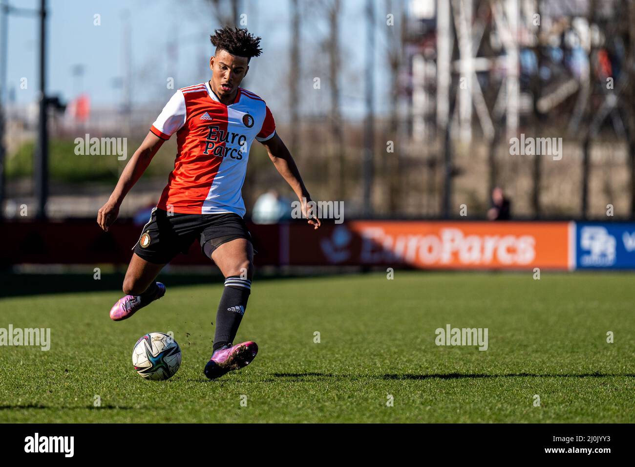 Rotterdam - Denzel Hall of Feyenoord during the match between Feyenoord ...