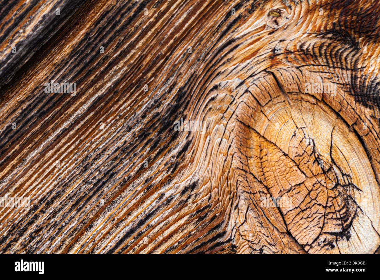 Macro detail of a knot in a weathered strip of Cedar siding at the ...