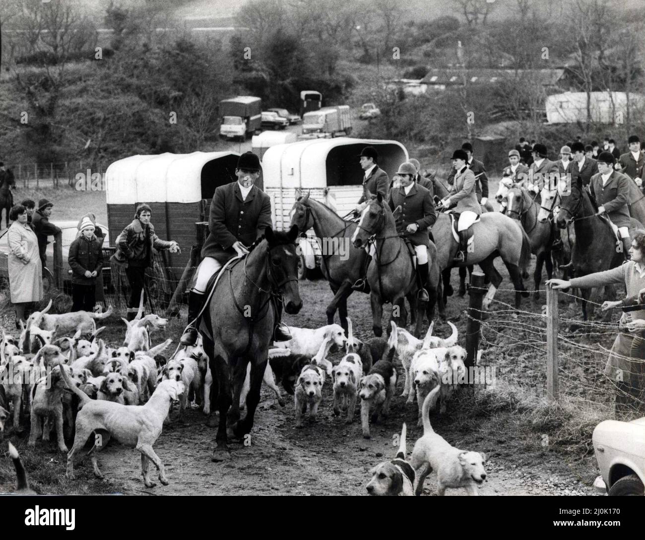 Foxes 1980 hi-res stock photography and images - Alamy