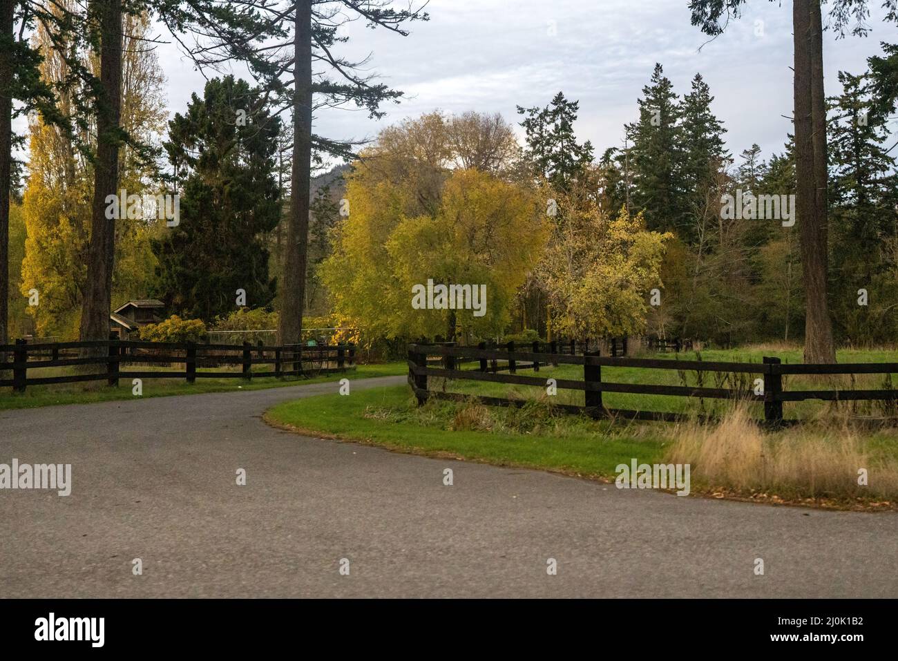 Countryside dirt road surrounded hi-res stock photography and images ...
