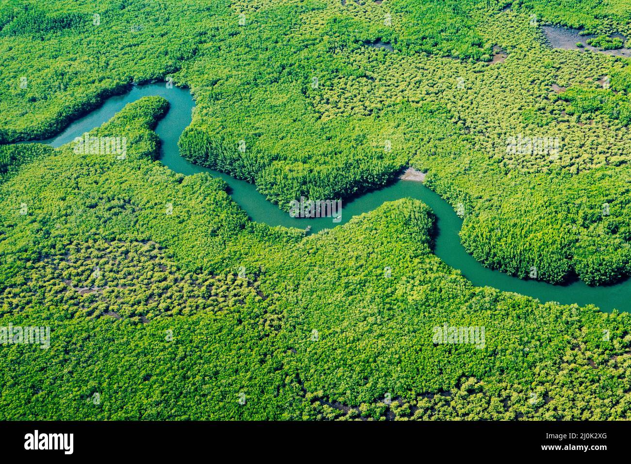 Ecosystem and Healthy Environment. Concepts and Nature Background ...