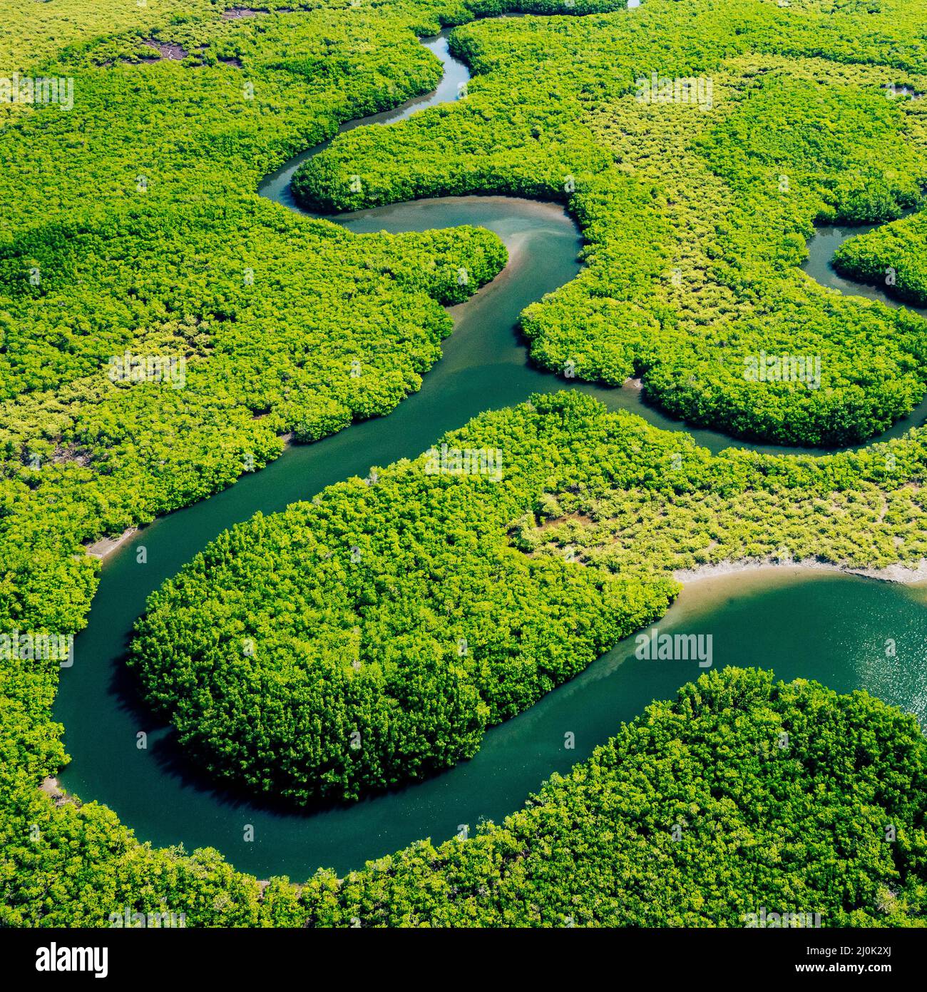 Ecosystem and Healthy Environment. Concepts and Nature Background ...