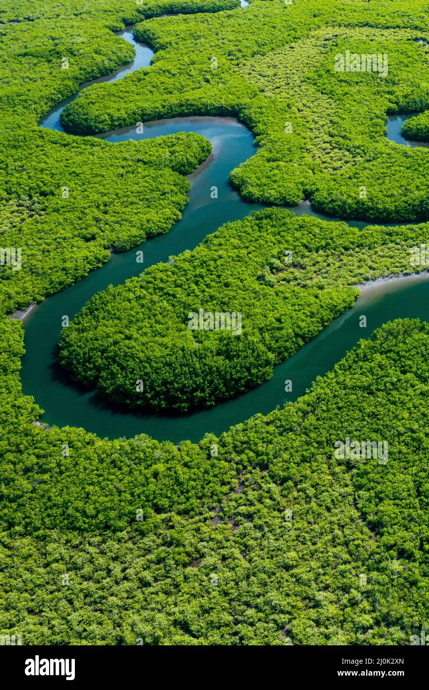 Ecosystem and Healthy Environment. Concepts and Nature Background ...