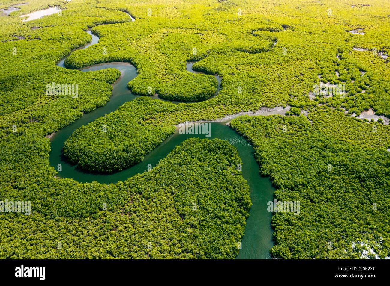 Ecosystem and Healthy Environment. Concepts and Nature Background ...