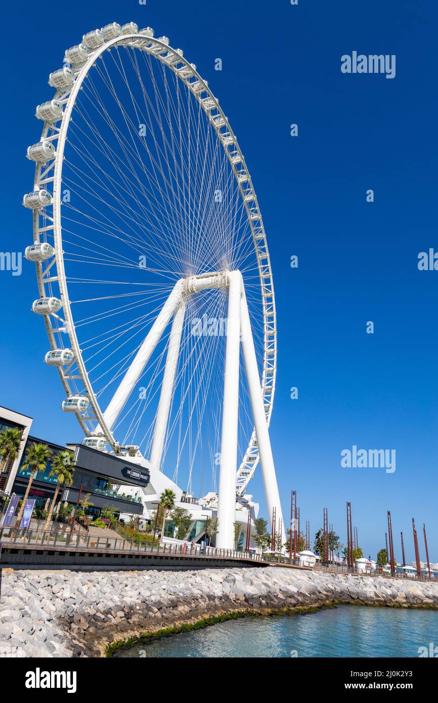 Dubai Eye or Al Ain, Bluewaters Island. United Arab Emirates. Middle ...