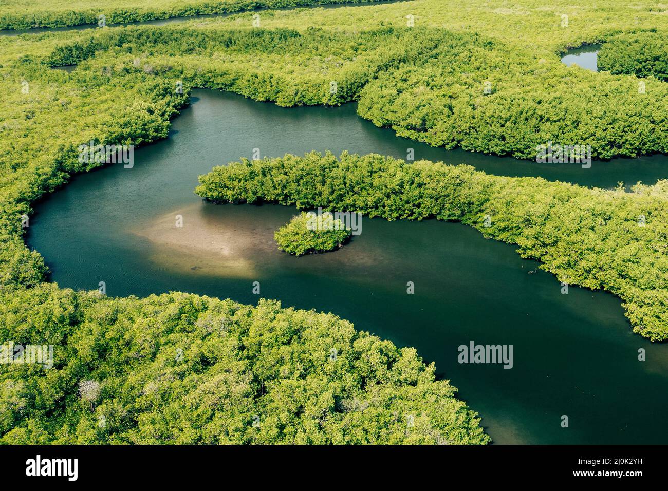 Ecosystem and Healthy Environment. Concepts and Nature Background ...