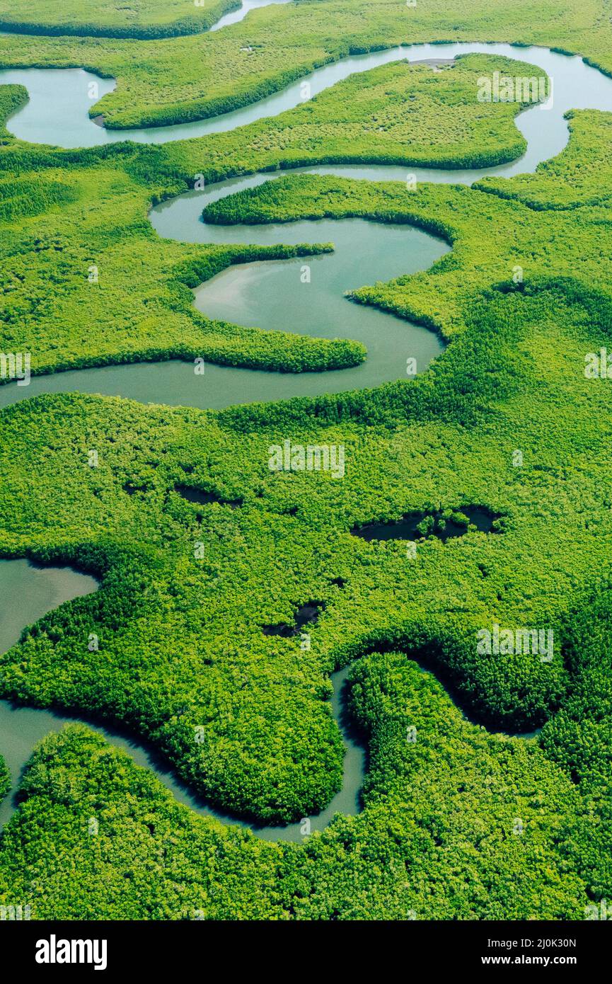 Ecosystem and Healthy Environment. Concepts and Nature Background ...