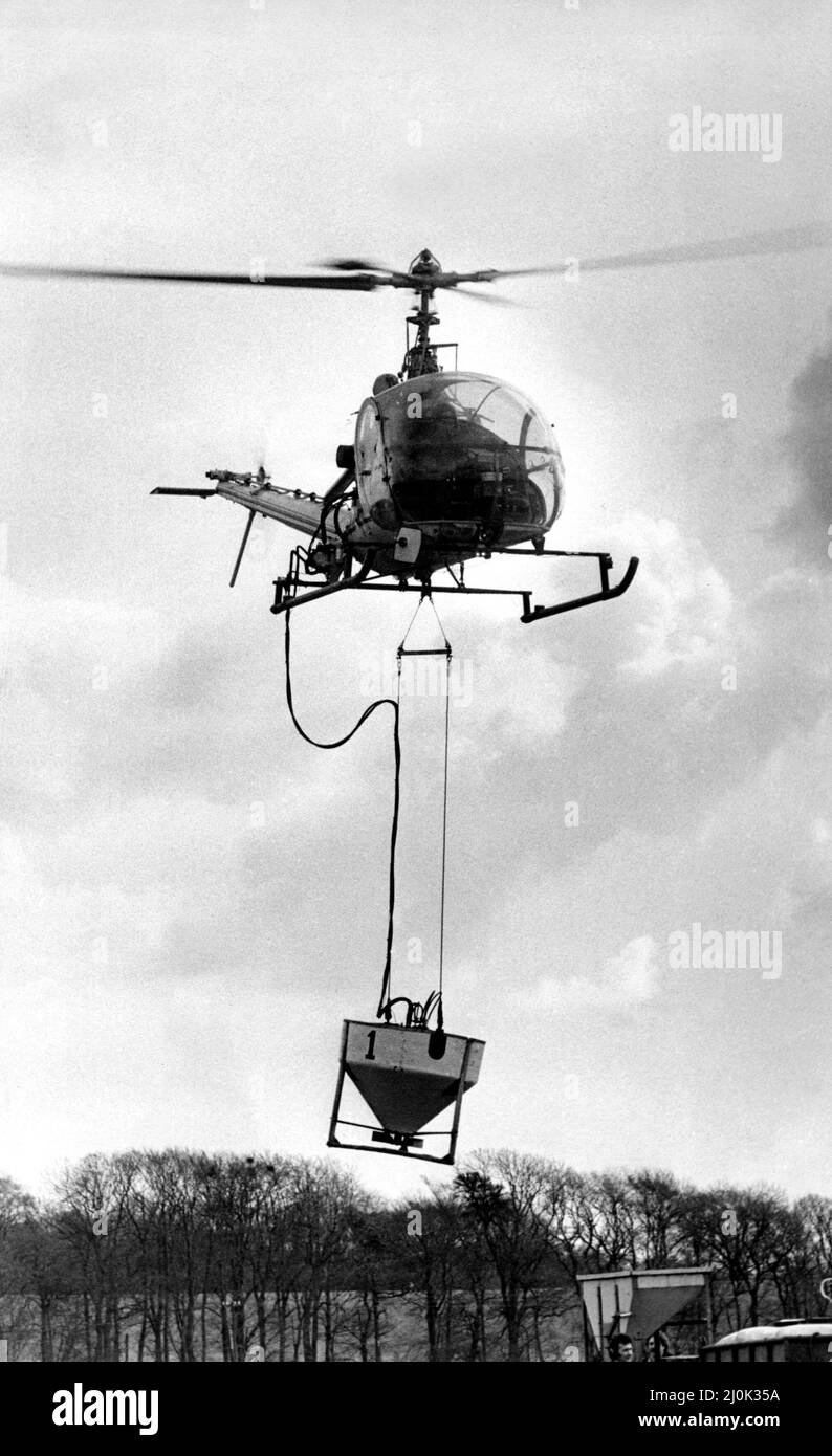 Pilot Tony Daly at the controls of his Hiller 12E helicopter spreading ...