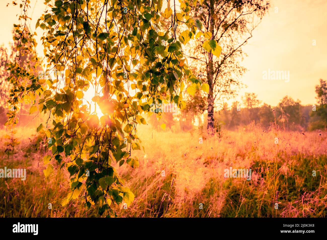 Ray of sunshine sunshine hi-res stock photography and images - Alamy